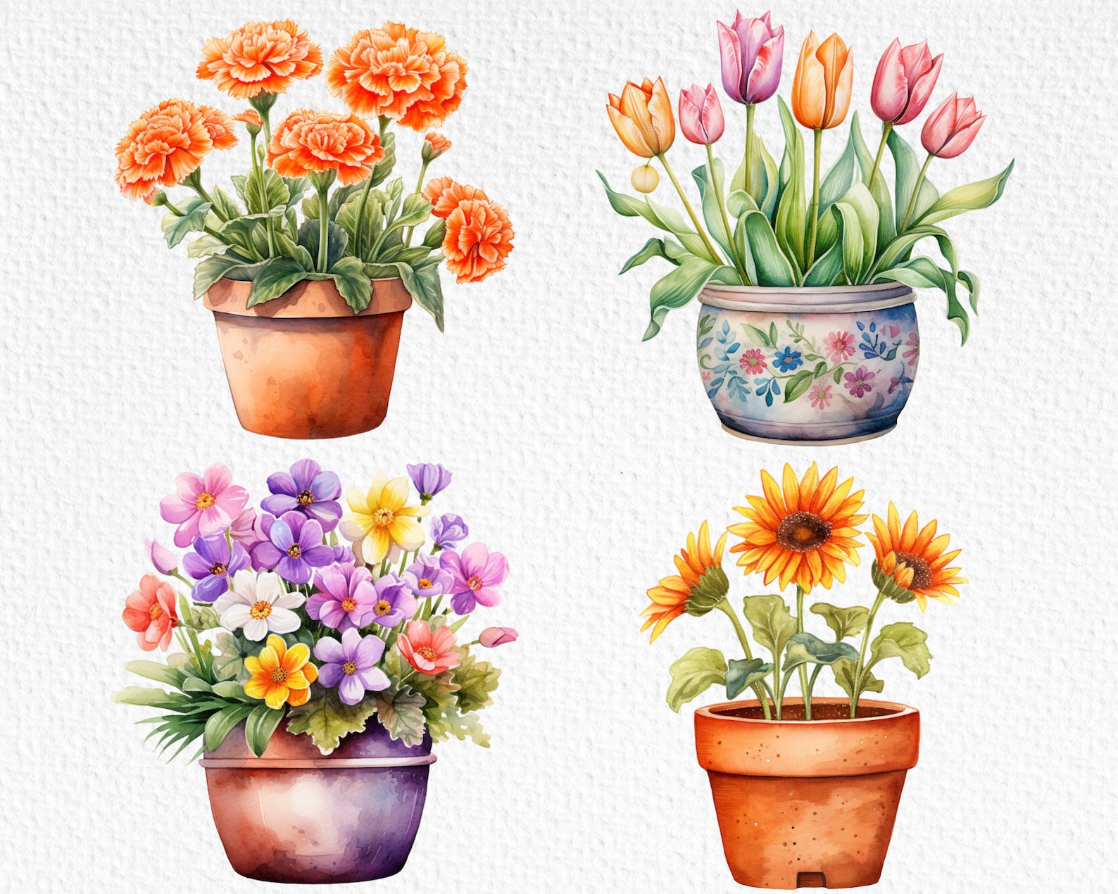 Cute Flower Pots Watercolour Clipart, 20 Transparent PNG 300 Dpi ...