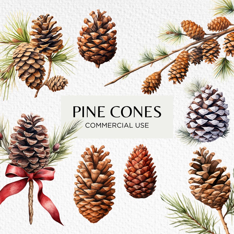 Pine Cone Clip Art - Etsy