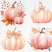 Cute Pink Pumpkins Watercolour Clipart, 20 Transparent PNG 300 Dpi ...