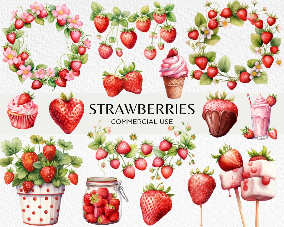 Strawberries Watercolour Clipart Bundle, 20 Transparent PNG 300 Dpi ...