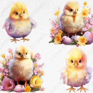 Cute Easter Chicks Watercolour Clipart, 20 Transparent PNG 300 Dpi ...
