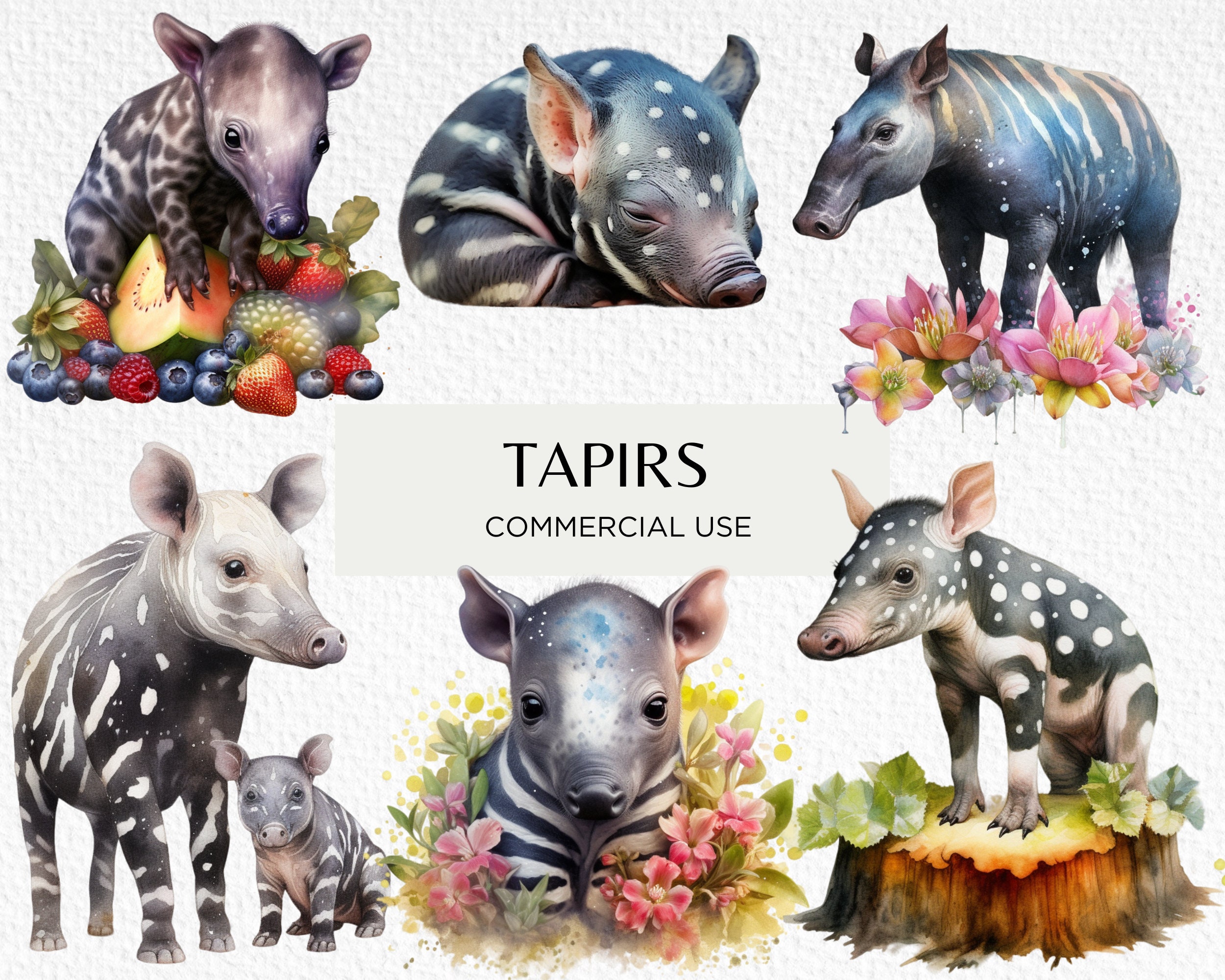 Watercolour Tapir Clipart Bundle, 16 Transparent Isolated PNG Images ...