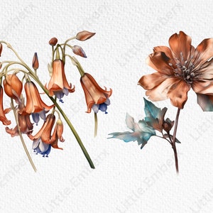 Copper Flowers Watercolour Clipart Bundle, 18 Transparent PNG Images ...