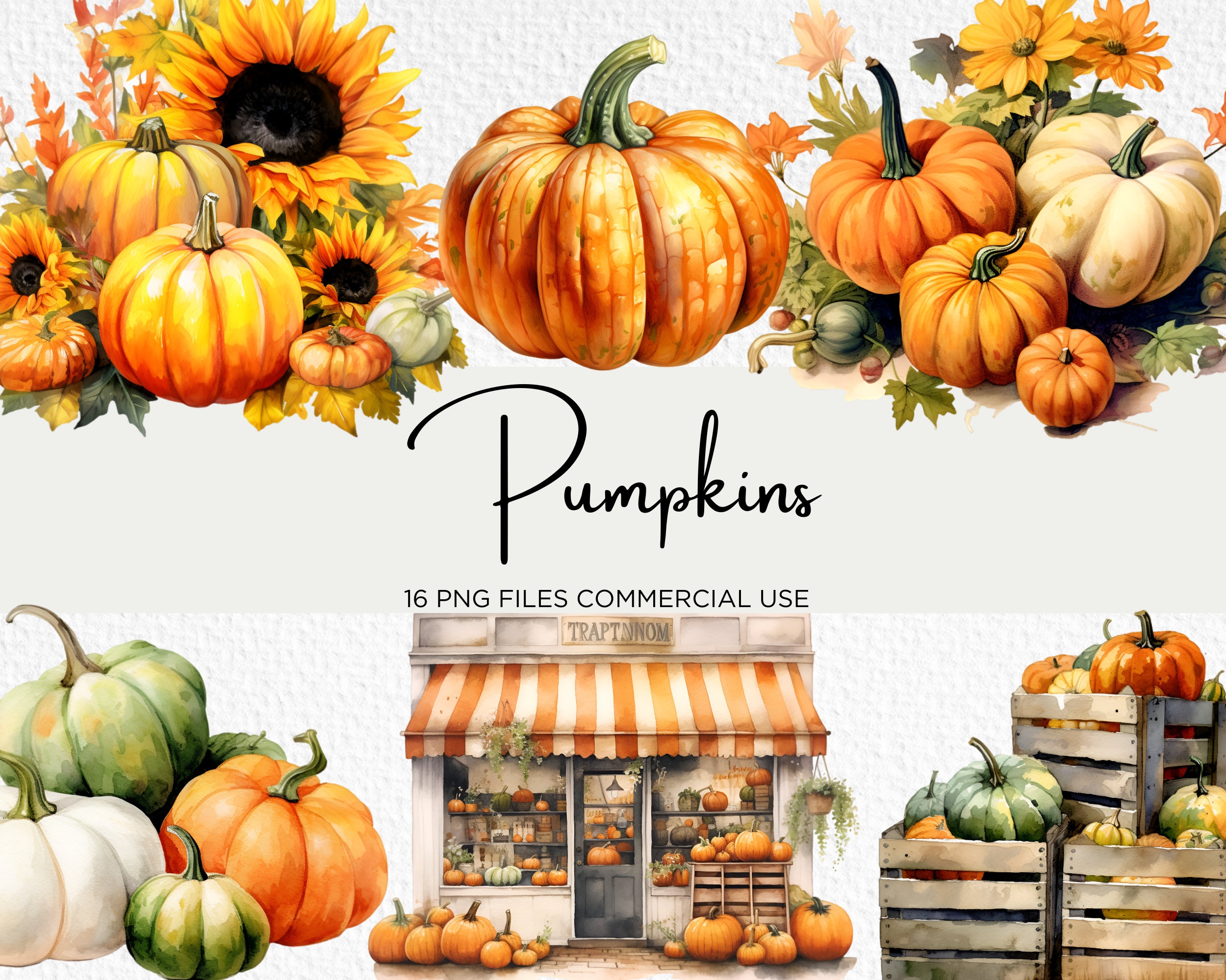 Pumpkins Watercolour Clipart Bundle 16 Transparent PNG 300 - Etsy