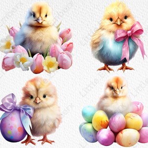 Cute Easter Chicks Watercolour Clipart, 20 Transparent PNG 300 Dpi ...