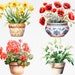 Cute Flower Pots Watercolour Clipart, 20 Transparent PNG 300 Dpi ...