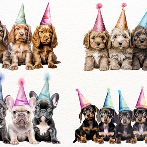Puppy Party Watercolour Clipart, 20 Transparent PNG 300 Dpi, Cute ...