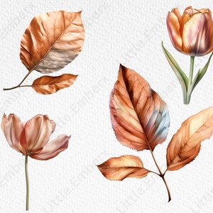 Copper Flowers Watercolour Clipart Bundle, 18 Transparent PNG Images ...