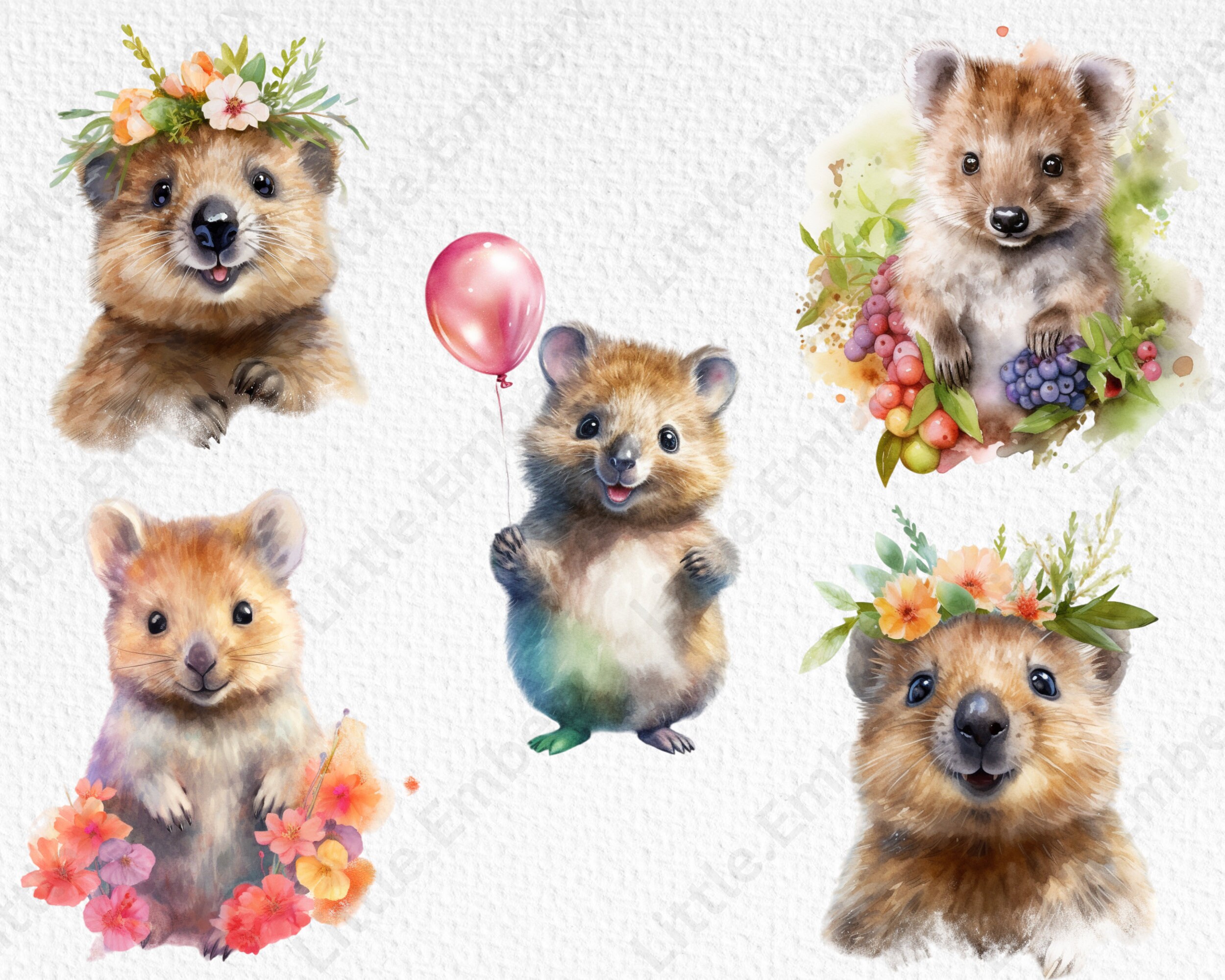 Watercolour Quokka Clipart Bundle, 18 Transparent Isolated PNG 300 Dpi ...