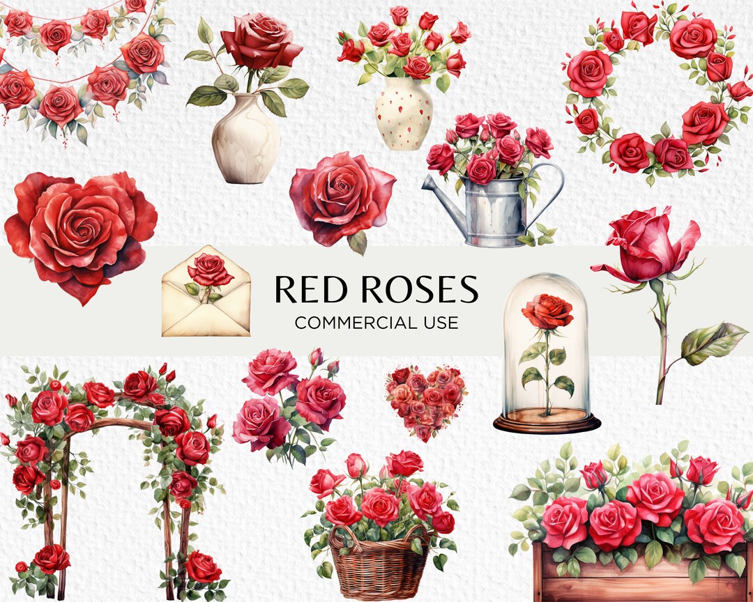 Red Roses Watercolour Clipart, 20 Transparent PNG 300dpi, Red Flowers ...