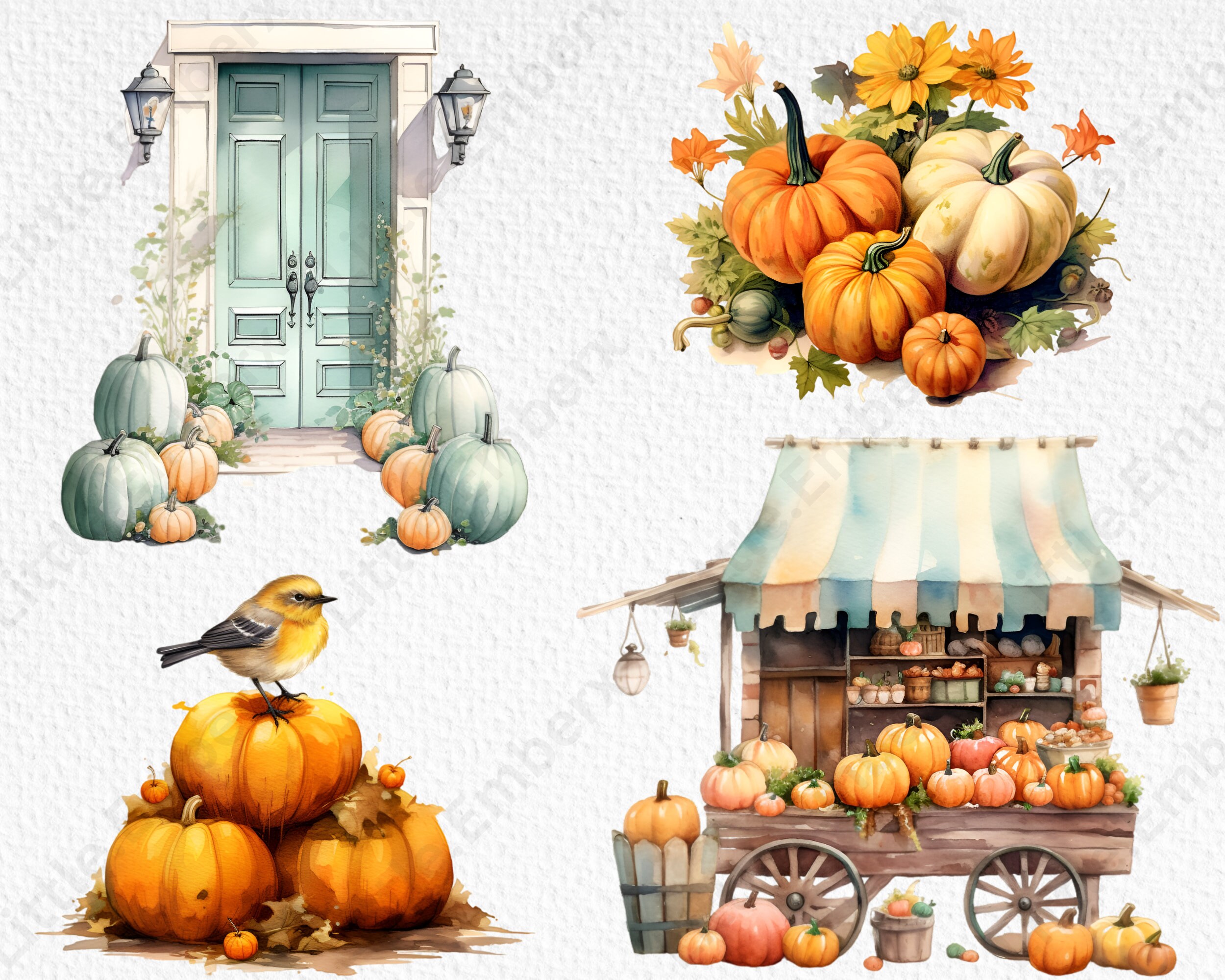 Pumpkins Watercolour Clipart Bundle 16 Transparent PNG 300 - Etsy