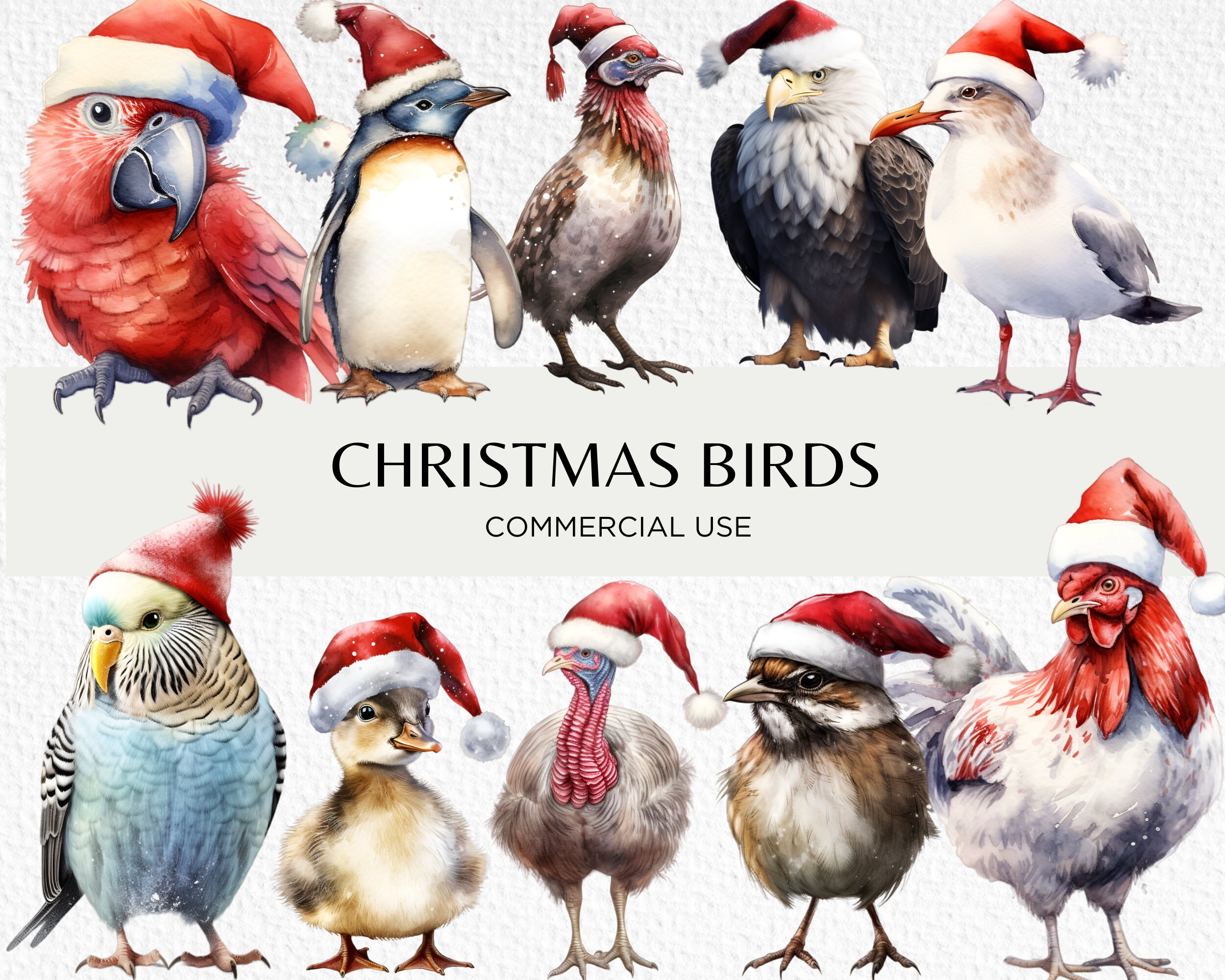 Traditional Christmas Clipart Birds