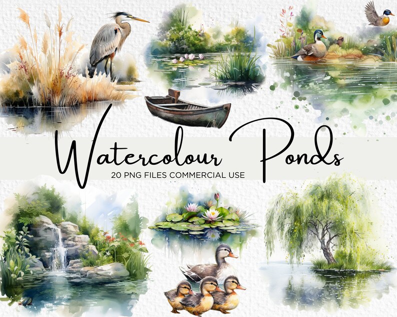Watercolour Ponds Clipart Bundle 20 Transparent Isolated PNG - Etsy
