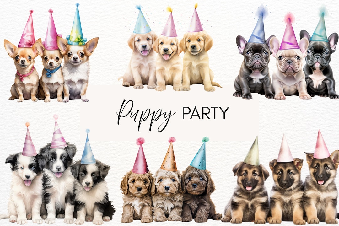 Puppy Party Watercolour Clipart, 20 Transparent PNG 300 Dpi, Cute ...