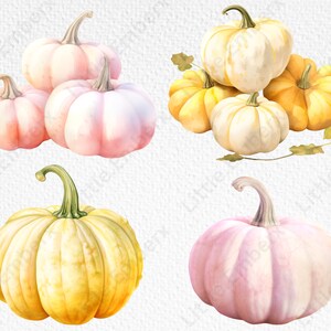 Pastel Pumpkins Watercolour Clipart Bundle, 16 Transparent PNG 300 Dpi ...