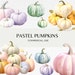Pastel Pumpkins Watercolour Clipart Bundle, 16 Transparent PNG 300 Dpi ...