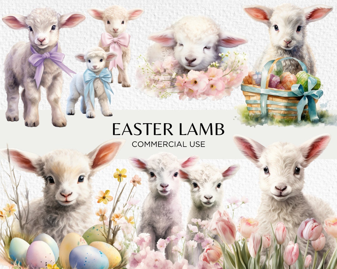 Cute Easter Lambs Watercolour Clipart, 20 Transparent PNG 300 Dpi ...