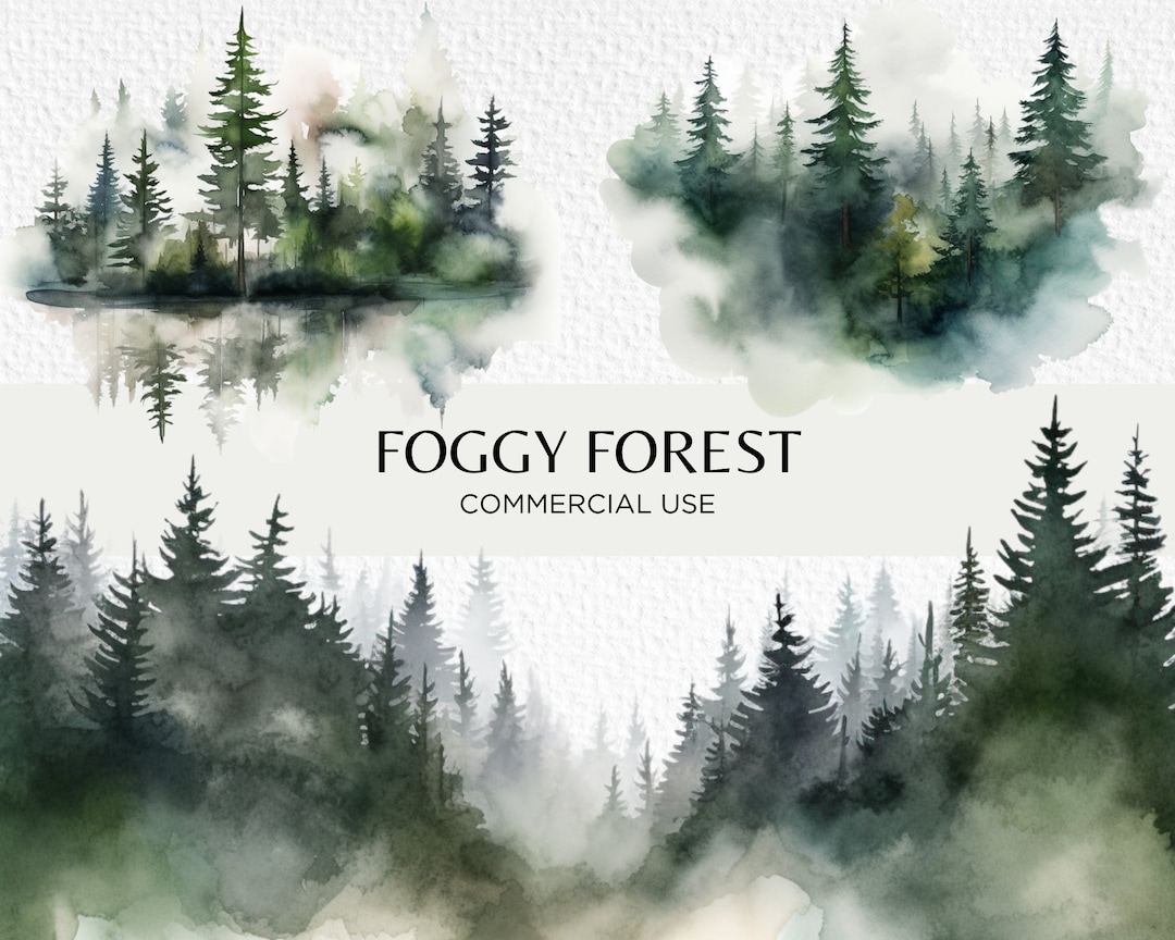 Foggy Forest Watercolour Clipart, 20 Transparent PNG 300dpi, Pine Tree ...