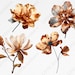 Copper Flowers Watercolour Clipart Bundle, 18 Transparent PNG Images ...