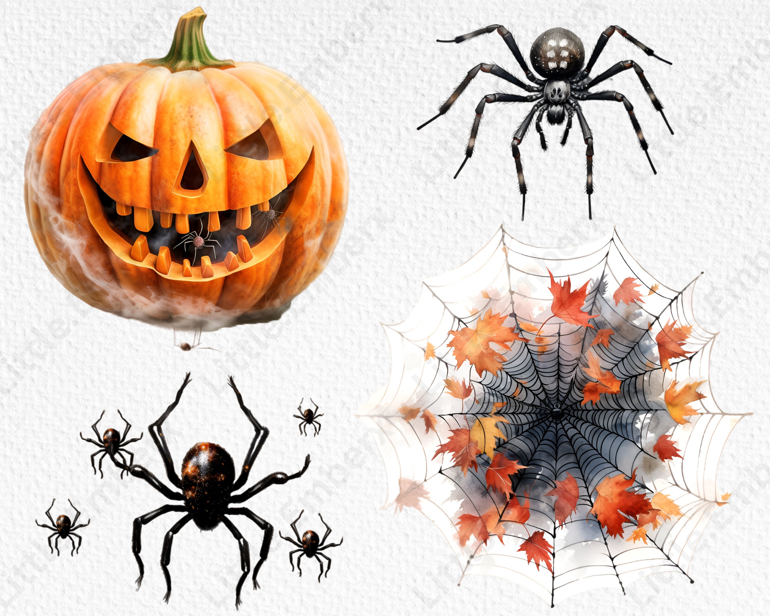 Spiders and Webs Watercolour Clipart Bundle 10 Transparent - Etsy