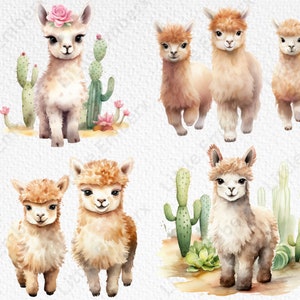 Alpacas Watercolour Clipart Bundle, 20 Transparent PNG 300 Dpi, Cute ...