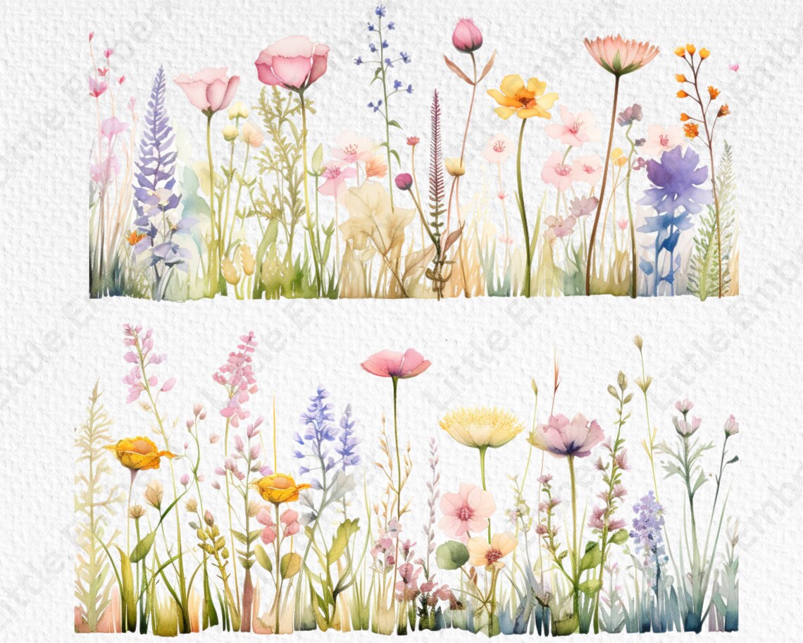 Wildflowers Watercolour Clipart, 20 Transparent PNG 300 Dpi, Flower ...