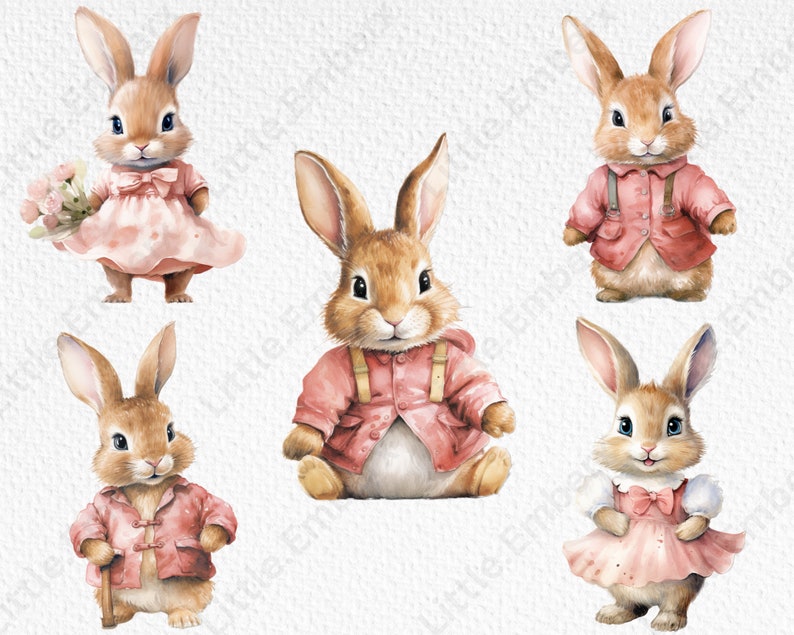 Cute Rabbits Watercolour Clipart 20 Transparent PNG 300 Dpi - Etsy