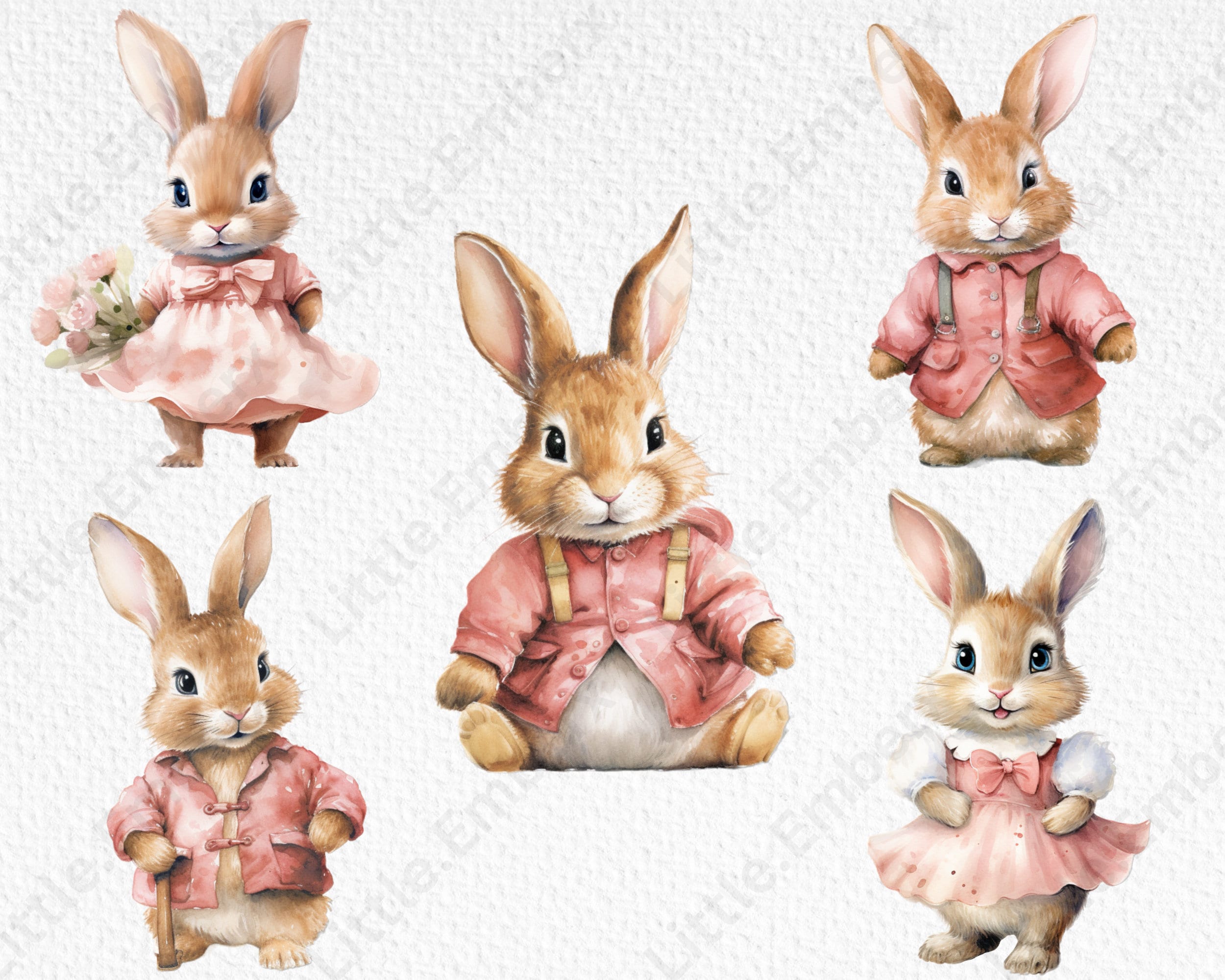 Cute Rabbits Watercolour Clipart 20 Transparent PNG 300 Dpi - Etsy