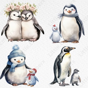 Penguin Watercolour Clipart, 20 Transparent PNG 300 Dpi, Cute Baby ...