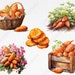 Sweet Potato Watercolour Clipart Bundle, 10 Transparent PNG 300 Dpi ...
