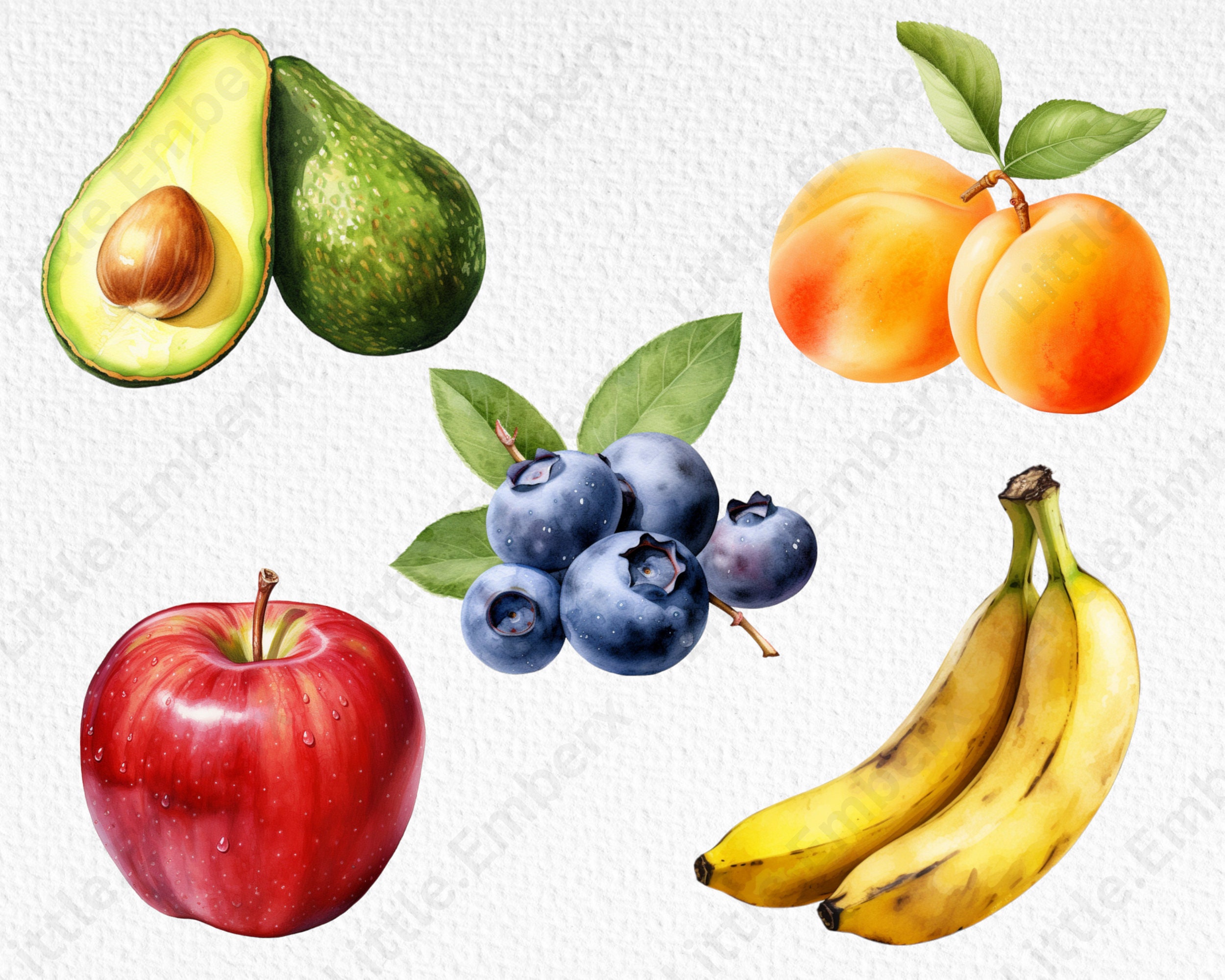 Fruit Watercolour Clipart Bundle, 20 Transparent PNG 300 Dpi, Cherries ...