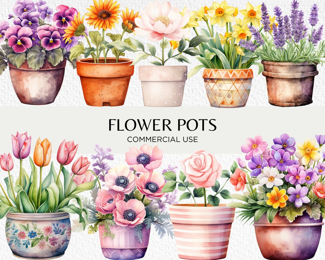 Cute Flower Pots Watercolour Clipart, 20 Transparent PNG 300 Dpi ...