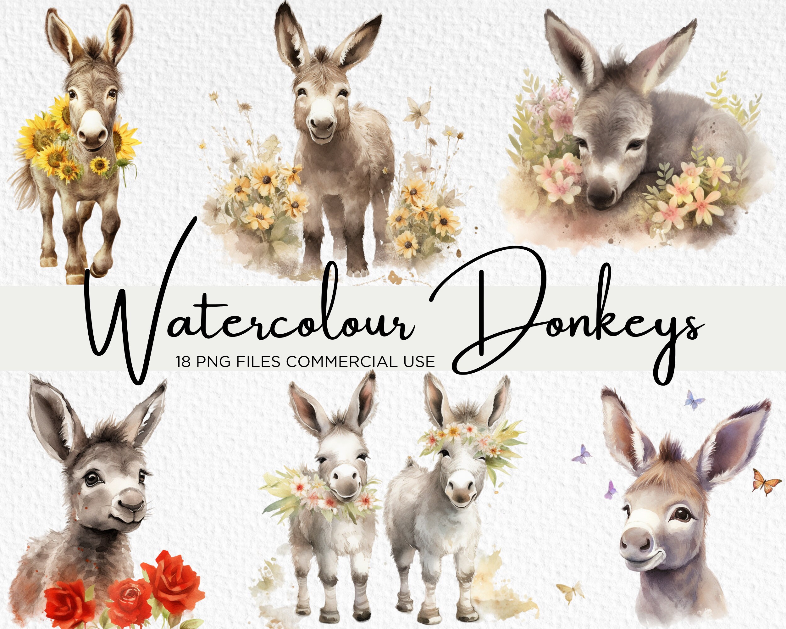 Watercolour Happy Donkeys Clipart Bundle 18 Transparent - Etsy