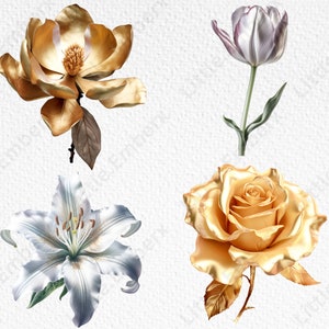 Watercolour Metallic Flowers Clipart Bundle, 20 Transparent PNG Images ...