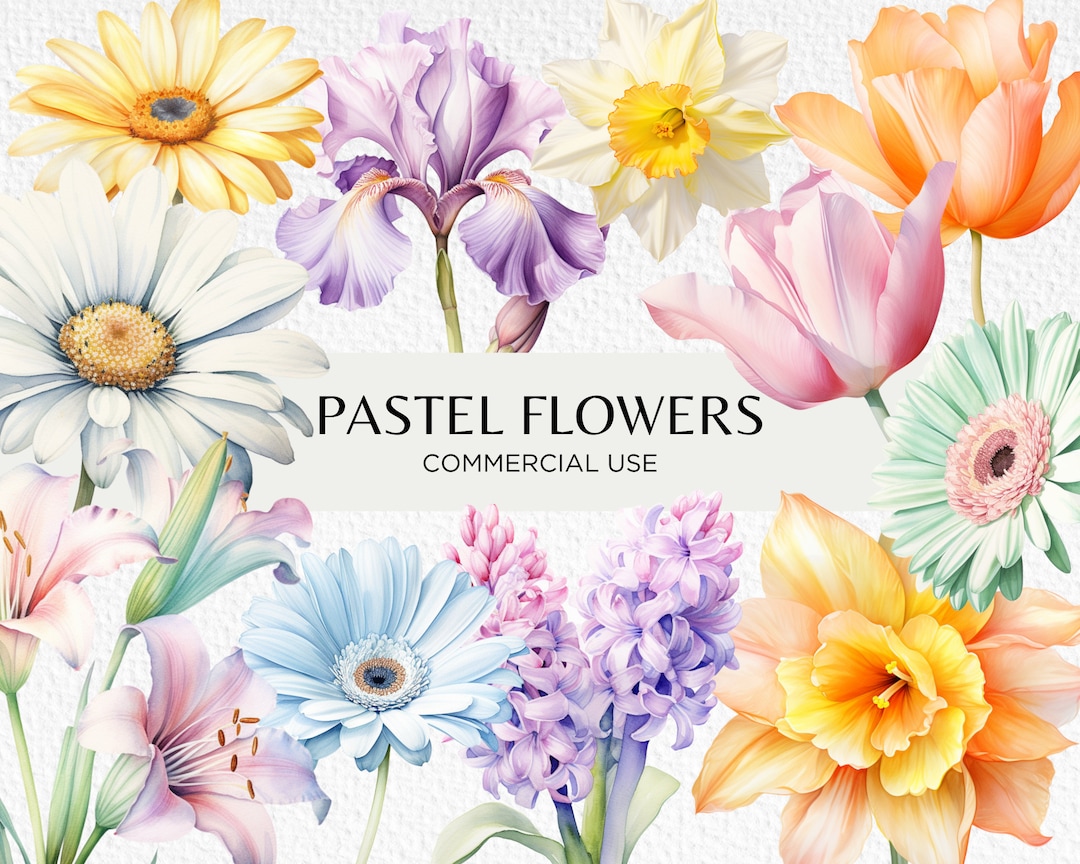 Pastel Flowers Watercolour Clipart, 20 Transparent PNG 300dpi, Cute ...