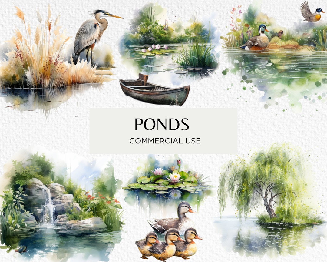 Watercolour Ponds Clipart Bundle, 20 Transparent Isolated PNG 300 Dpi ...