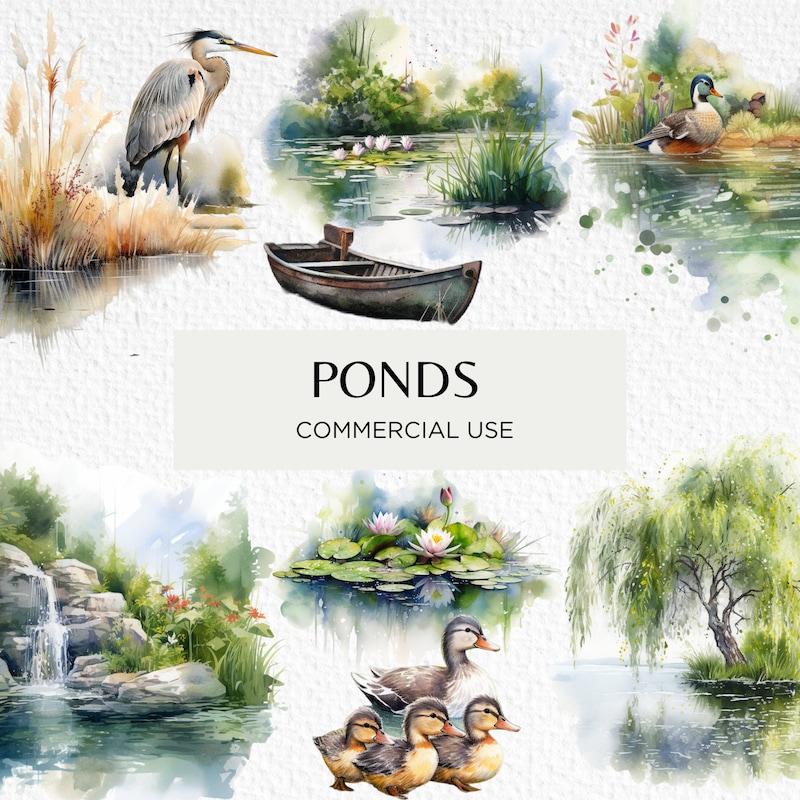 Pond Clipart - Etsy