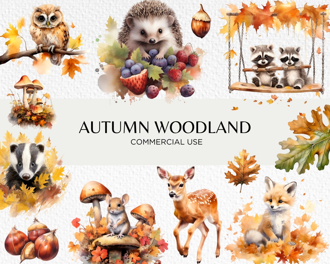 Autumn Woodland Watercolour Clipart Bundle, 16 Transparent PNG 300 Dpi ...