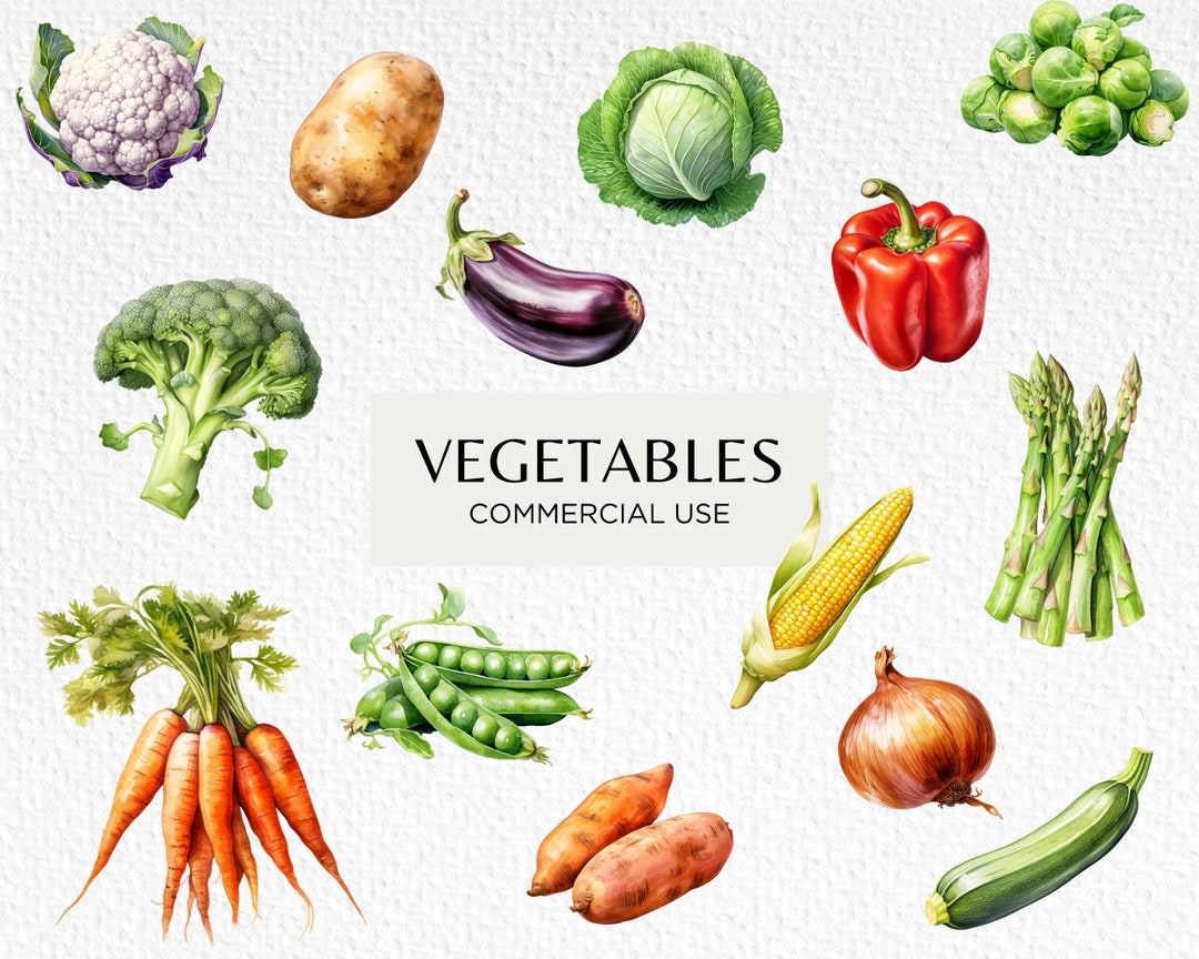 Vegetables Watercolour Clipart Bundle, 20 Transparent PNG 300 Dpi ...