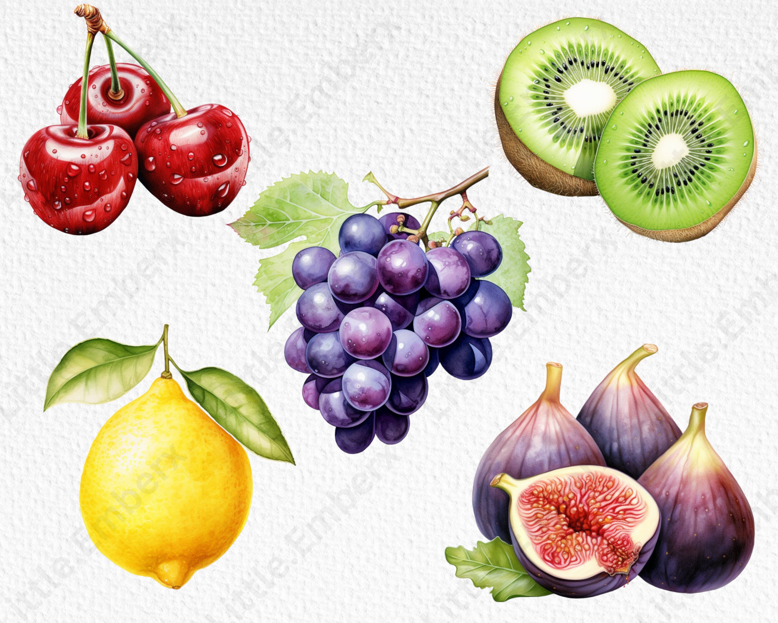 Fruit Watercolour Clipart Bundle, 20 Transparent PNG 300 Dpi, Cherries ...
