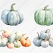Pastel Pumpkins Watercolour Clipart Bundle, 16 Transparent PNG 300 Dpi ...
