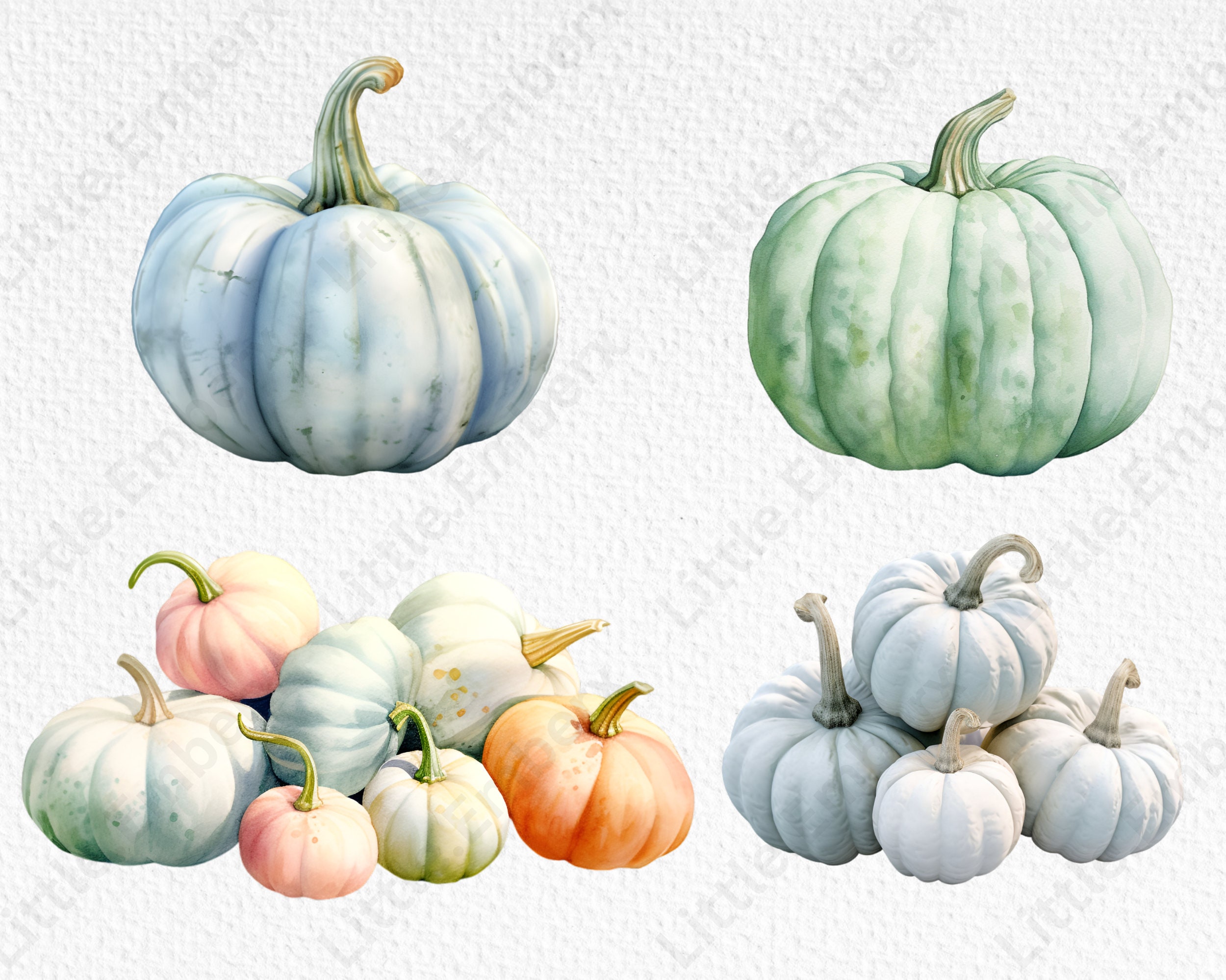 Pastel Pumpkins Watercolour Clipart Bundle, 16 Transparent PNG 300 Dpi ...