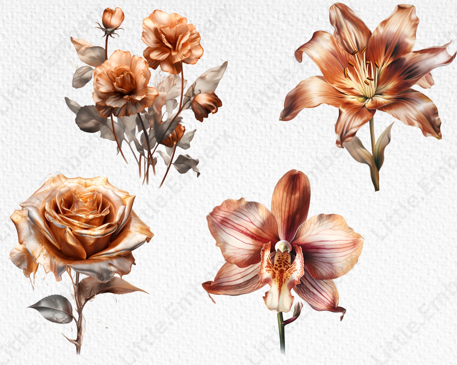 Copper Flowers Watercolour Clipart Bundle, 18 Transparent PNG Images ...