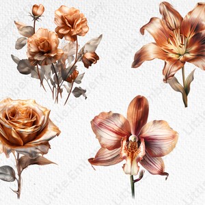 Copper Flowers Watercolour Clipart Bundle, 18 Transparent PNG Images ...