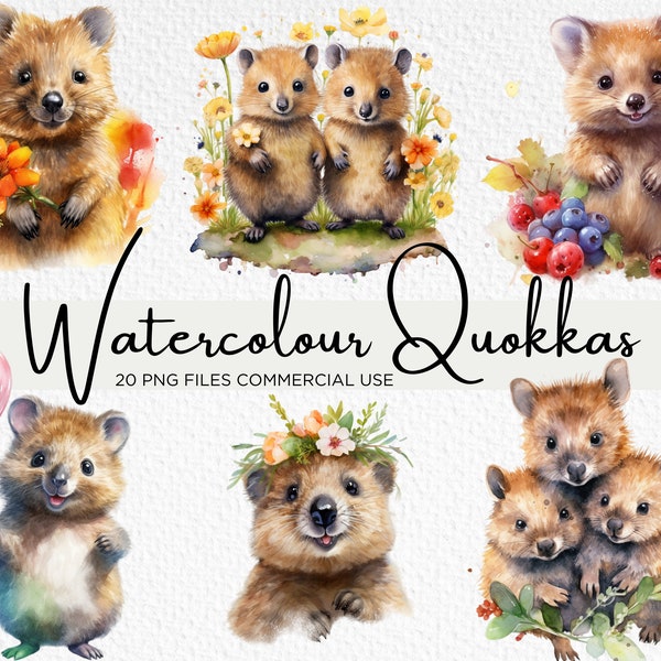 Quokka Png Clipart - Etsy Canada