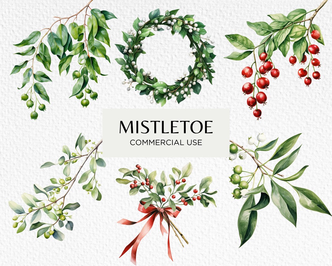 Mistletoe Watercolour Clipart, 10 Transparent PNG 300 Dpi, Christmas ...