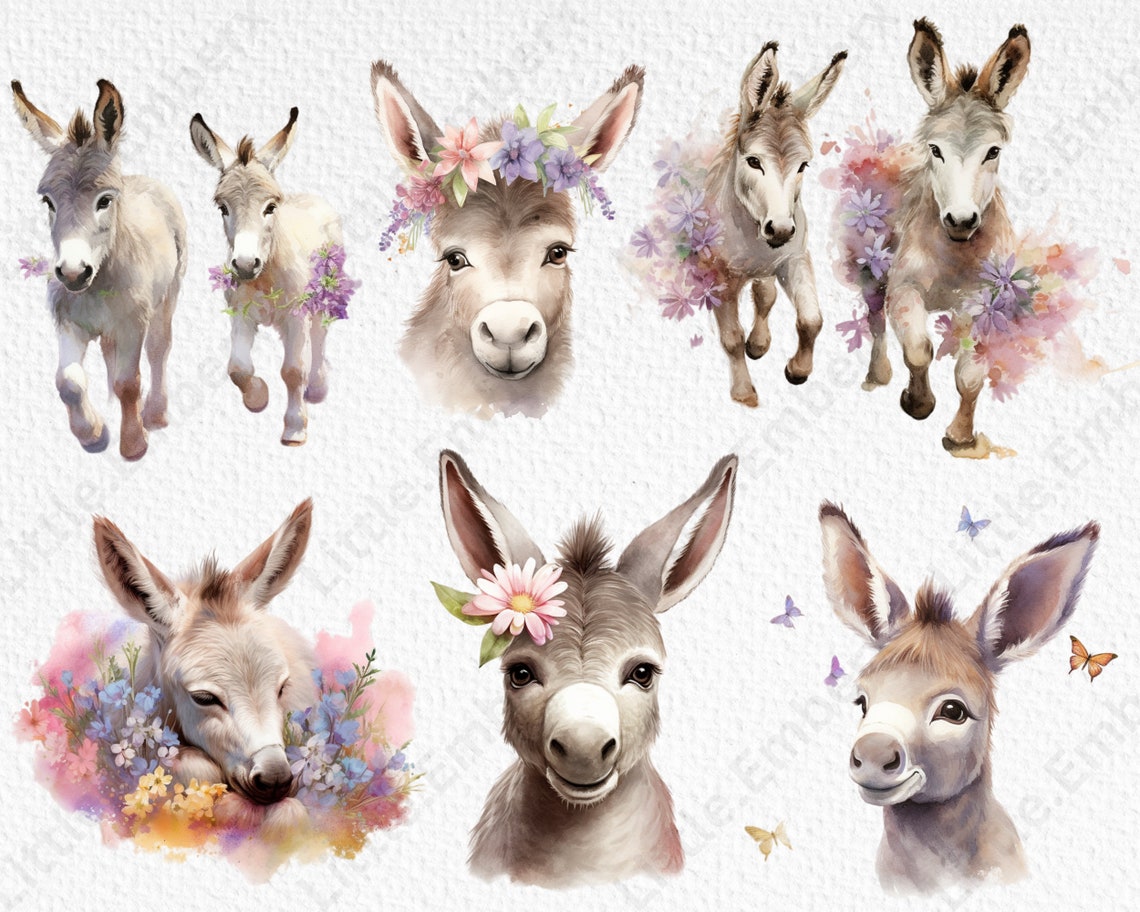 Watercolour Happy Donkeys Clipart Bundle 18 Transparent - Etsy