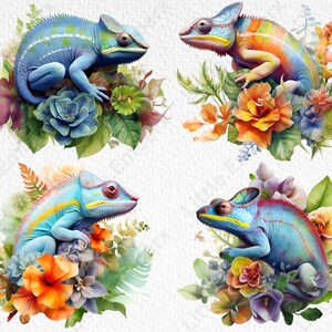 Colourful Chameleons Watercolour Clipart Bundle, 18 Transparent PNG ...