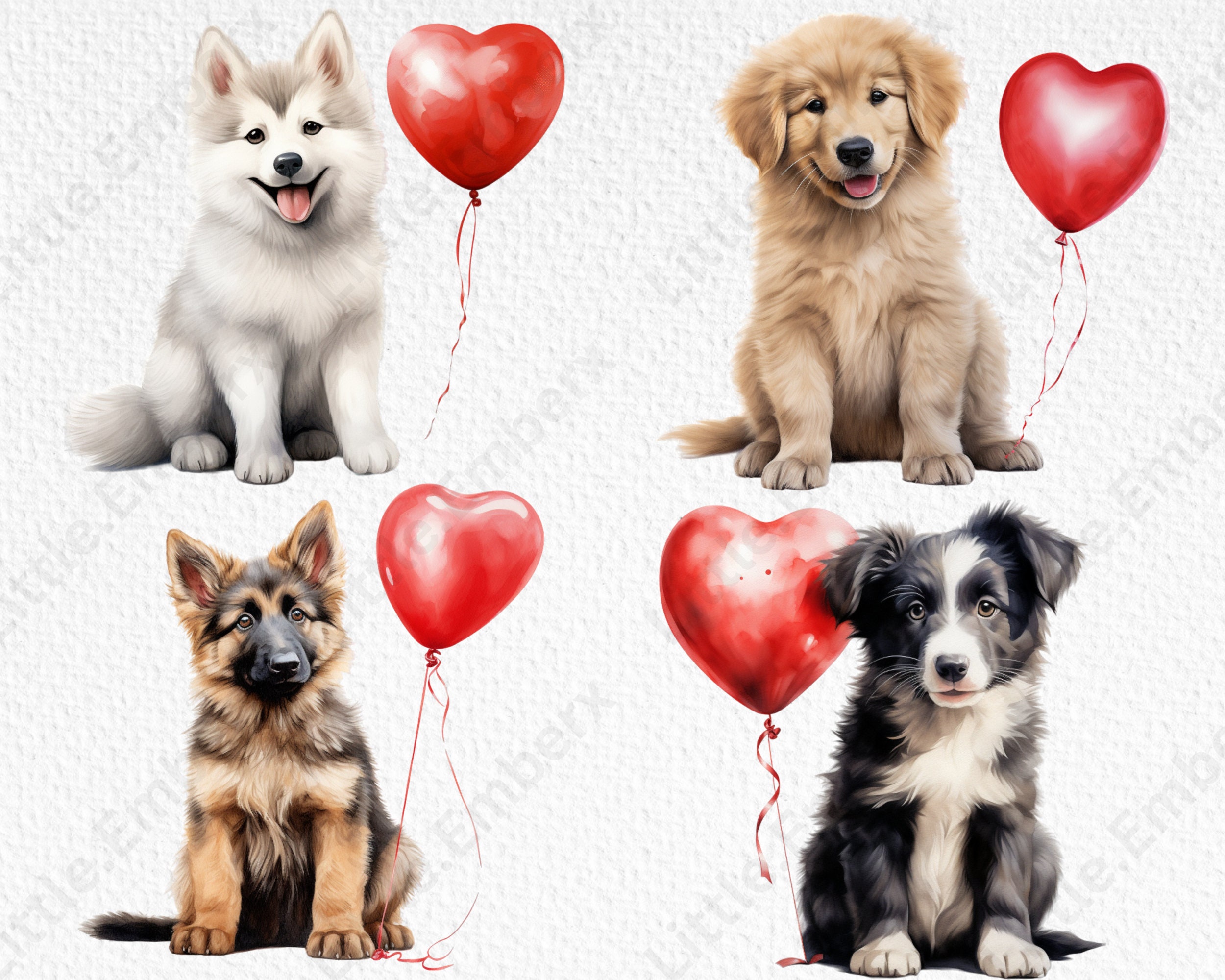 Love Puppies Watercolour Clipart, 20 Transparent PNG 300 Dpi ...