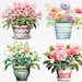 Cute Flower Pots Watercolour Clipart, 20 Transparent PNG 300 Dpi ...